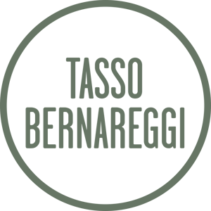 TASSO | Your Casting Development Partner